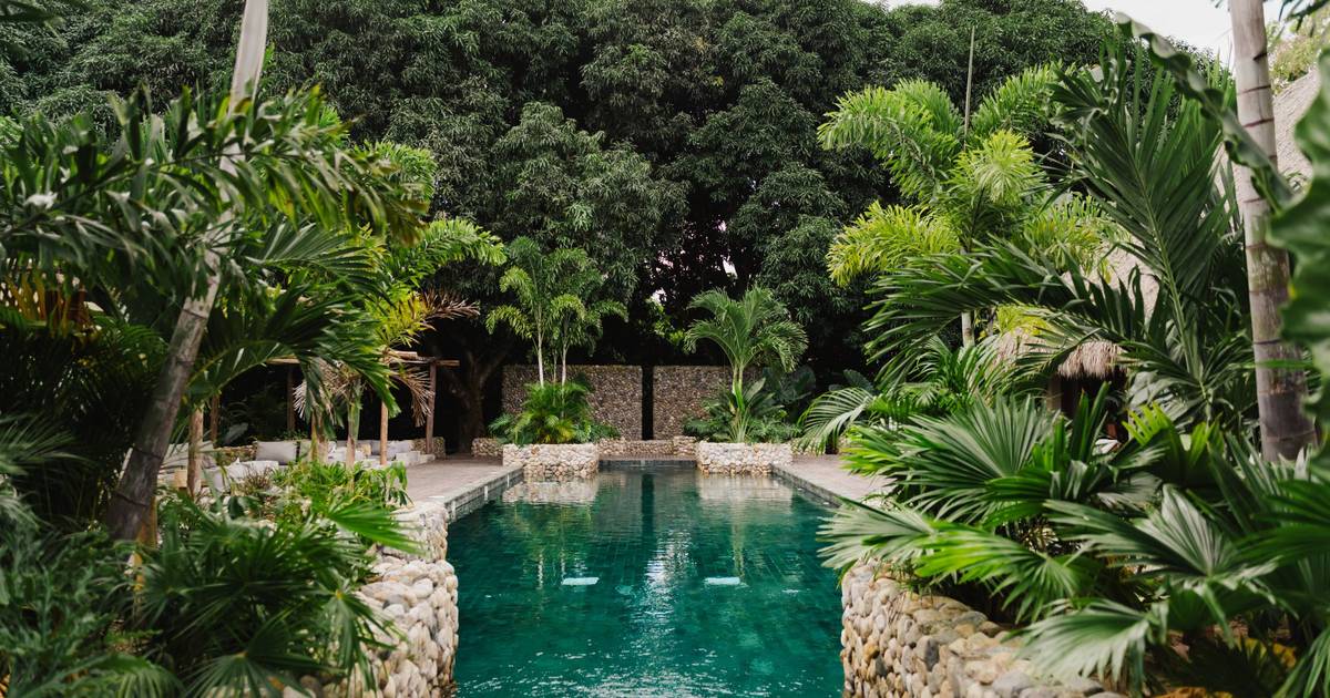 Naio Hospitality Group en Riohacha, Web oficial